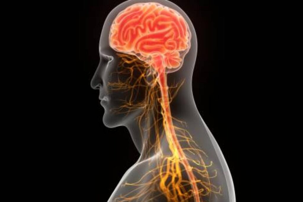 Neuropatia periferica, cos'è, come si cura e quali sono i suoi sintomi ...